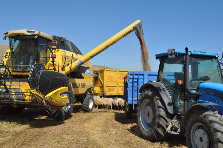 Arpa ve mercimek hasadı başladı - Batman Medya Gazetesi