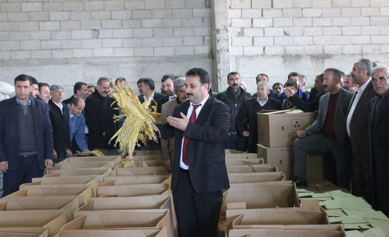 “Tütün için yeni firmalar bölgeye geliyor” - Batman Medya Gazetesi